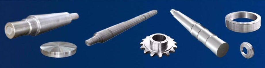 Large Scale Forging Piece within 50MT - Emilymetal.com